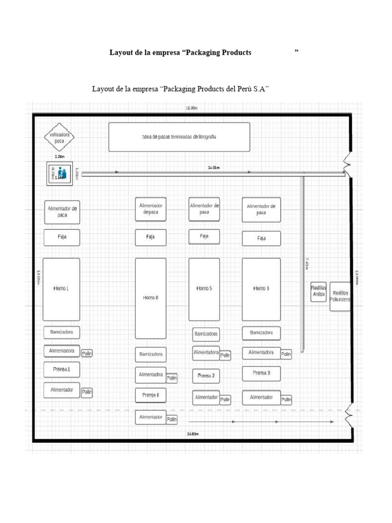 Layout de Packaging Products Perú | PDF
