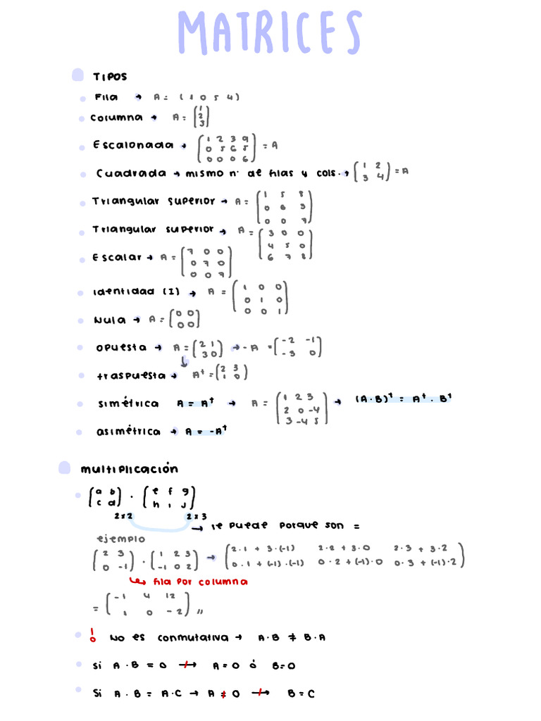 Mates Matrices 2bach | PDF | Matriz (Matemáticas) | Exponenciación
