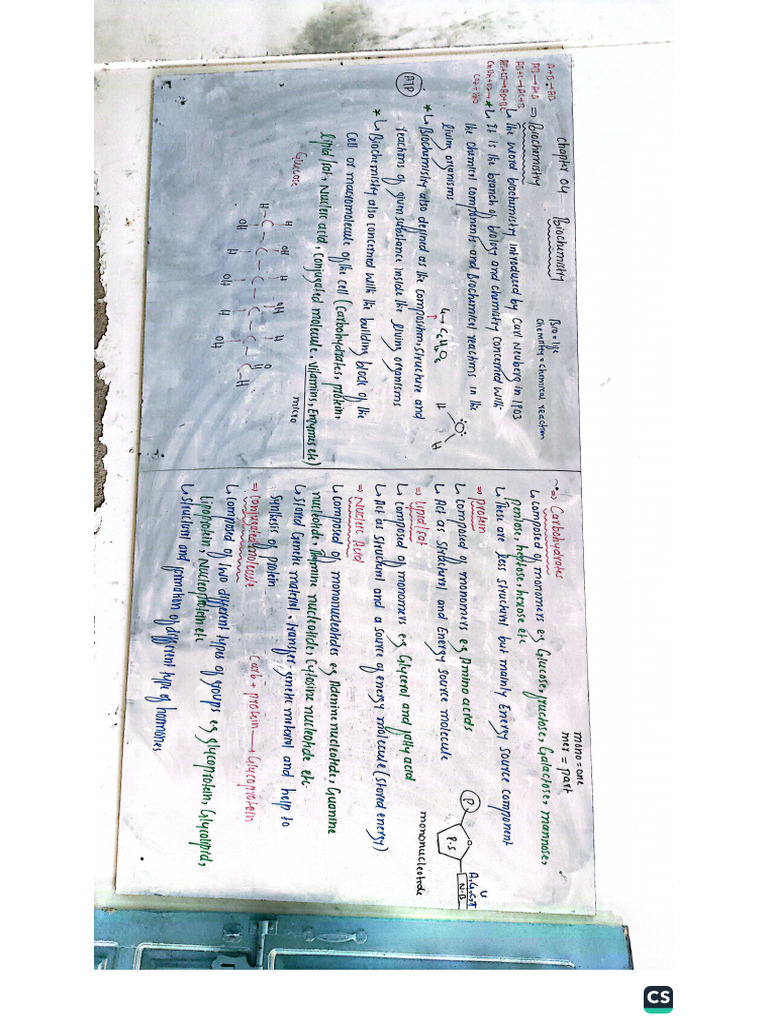 Biochemistry Chp 04 | PDF