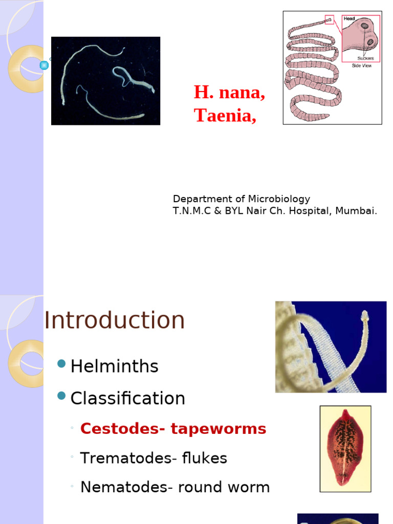 CBME Cestodes & Nematodes | PDF | Protostomes