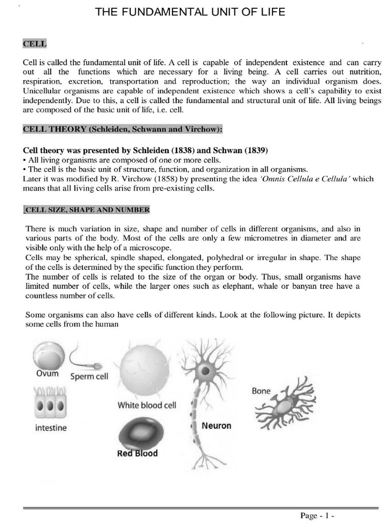 The Fundamental Unit of Life (CELL) | PDF