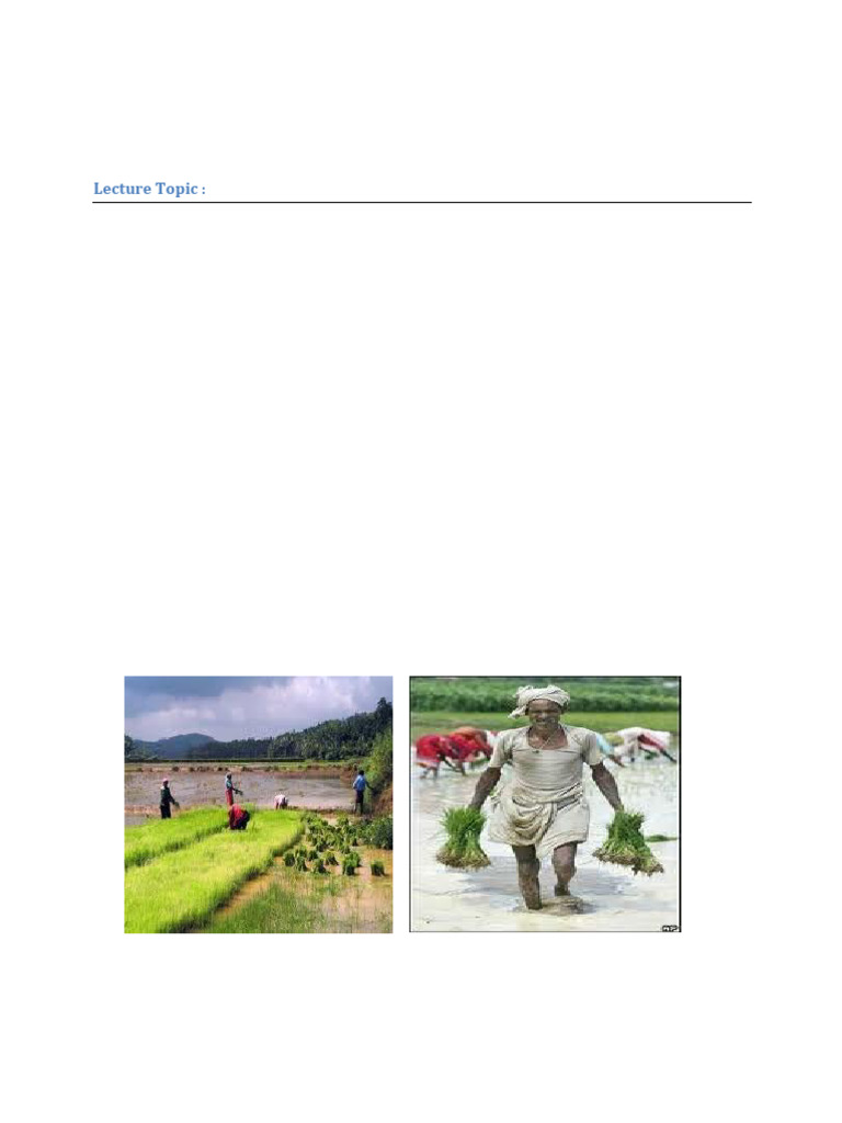Farm Power Status in India | PDF | Engines | Diesel Engine