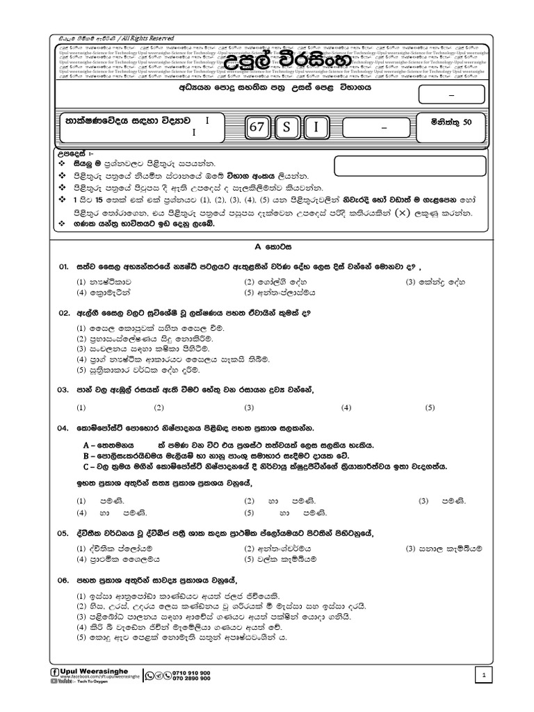 20 Timing Paper | PDF