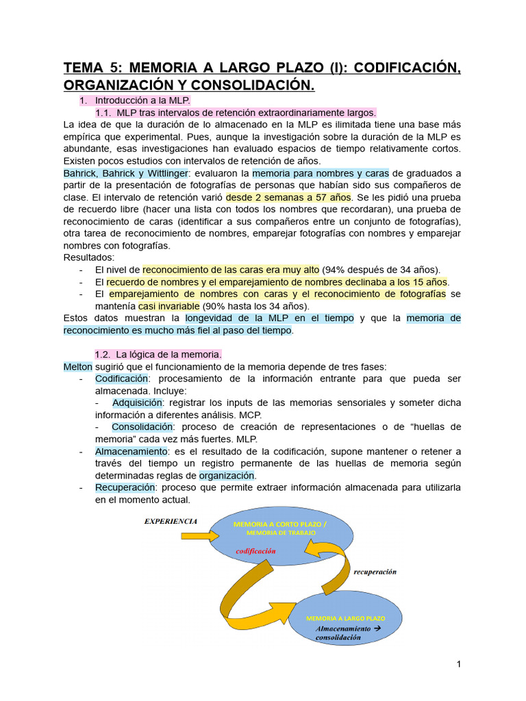 wuolah-free-TEMA-5-MEMORIA-A-LARGO-PLAZO-I-CODIFICACION-ORGANIZACION-Y-CONSOLIDACION-gulag-free ...