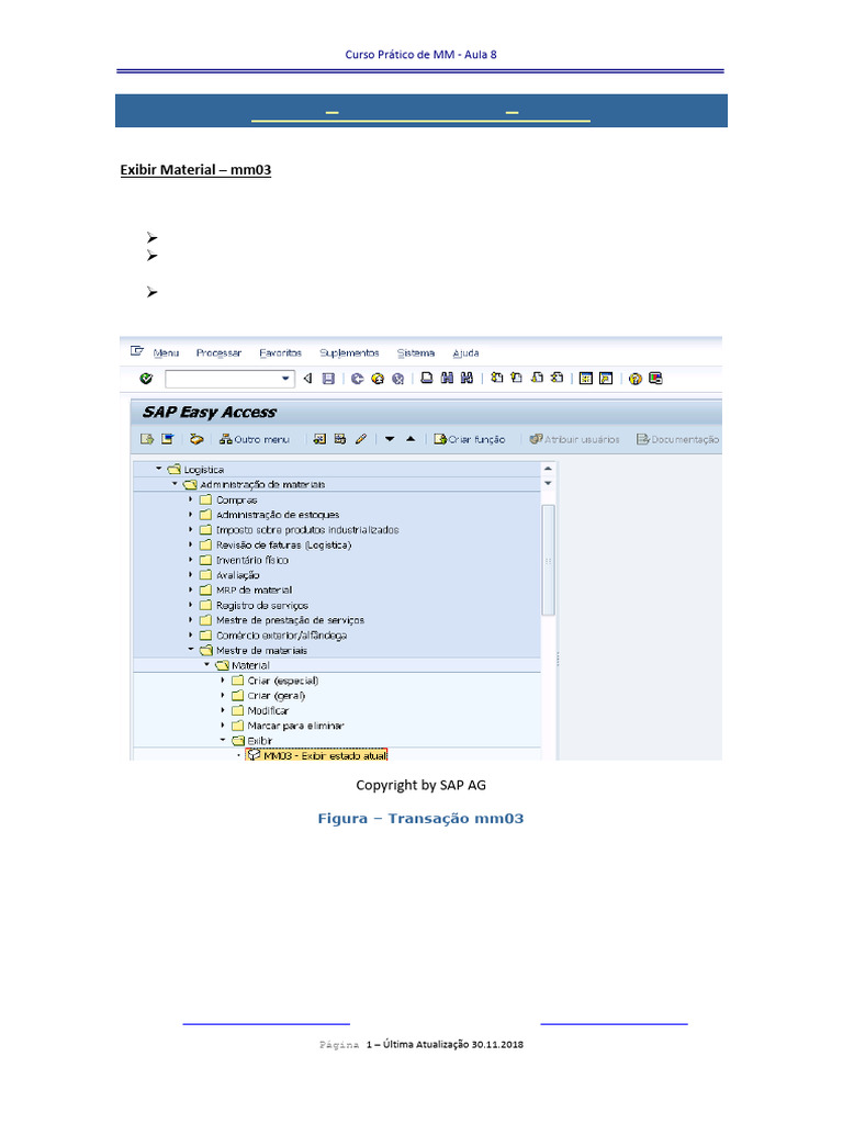 SAP Foundations (Logística) Aula - 7 - EXIBIR MATERIAL | PDF | Dados ...