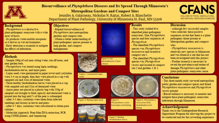 UROP Final Poster - Galarneau | PDF | Compost | Plants