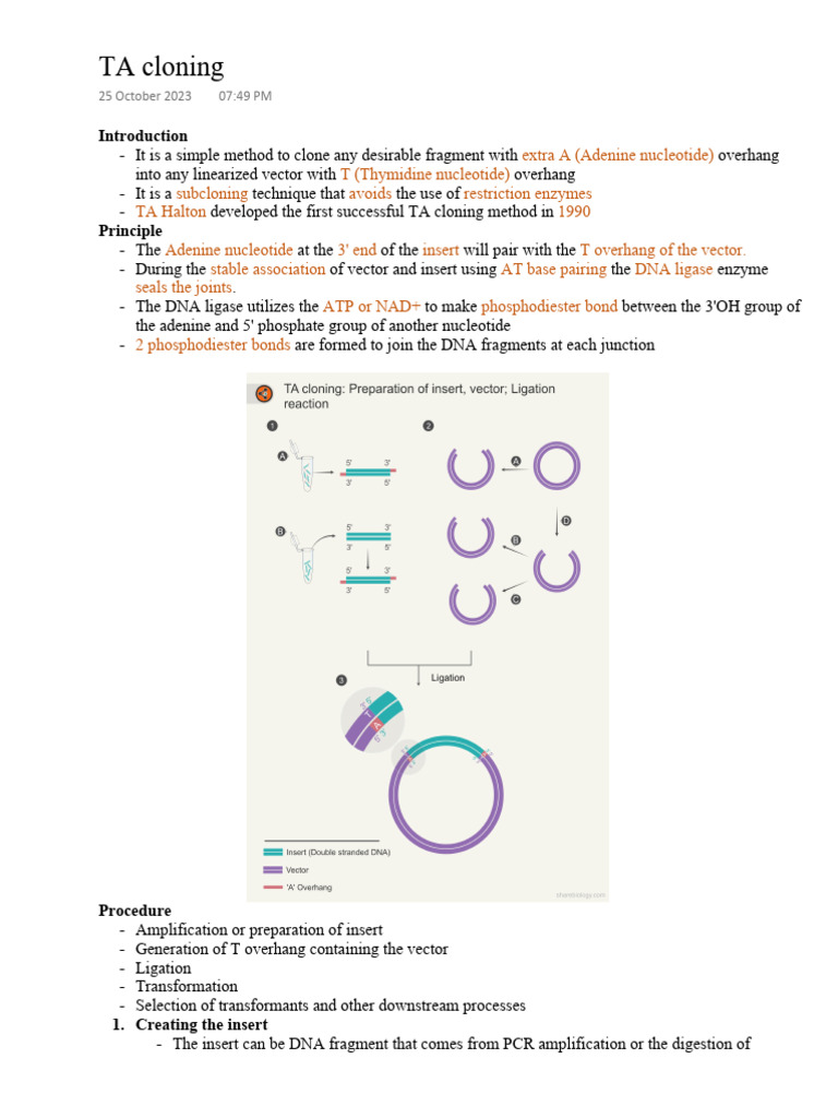 TA cloning | PDF | Molecular Cloning | Taq Polymerase