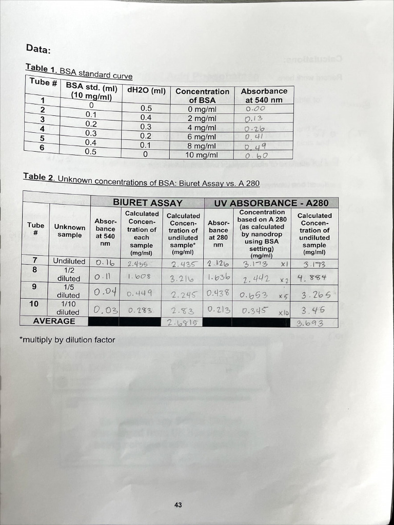Lab 4 Calcs | PDF