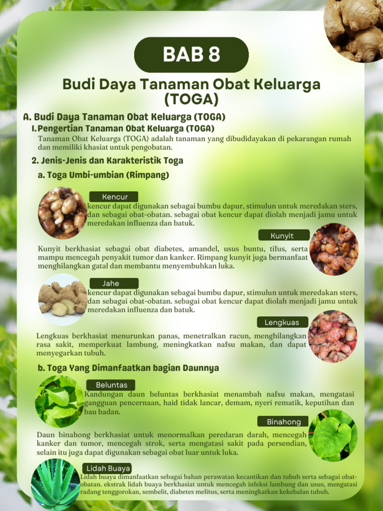 Budi Daya Tanaman Obat Keluarga (TOGA) | PDF