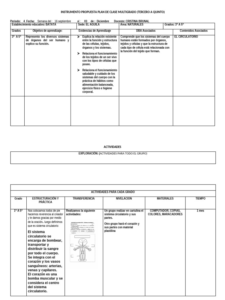 FORMATO PLAN DE AULA MULTIGRADO -NATURALES CRISTINA | PDF | Corazón | Vena
