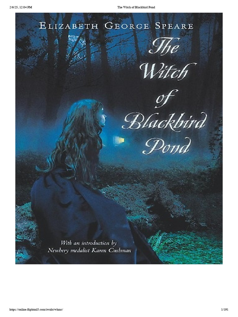 The Witch of Blackbird Pond Overview | PDF