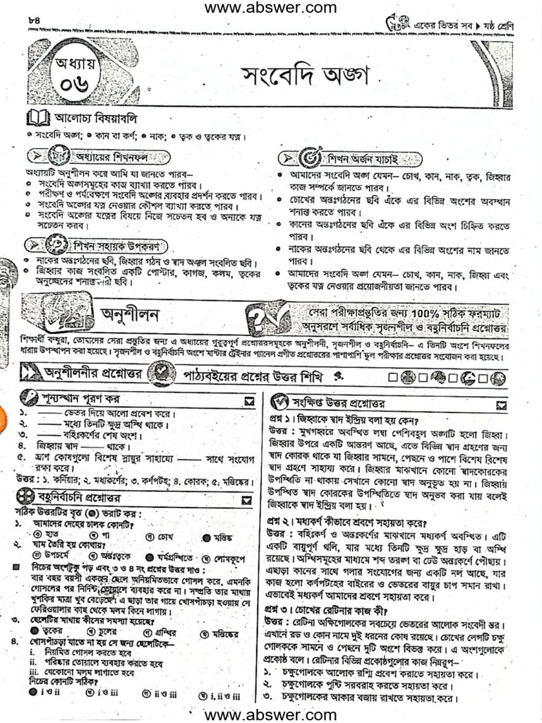 Class 6 Science Chapter 6 Guide | PDF