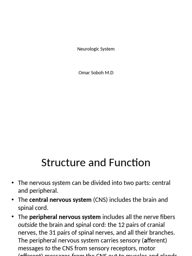 Neurologic System | PDF | Central Nervous System | Spinal Cord