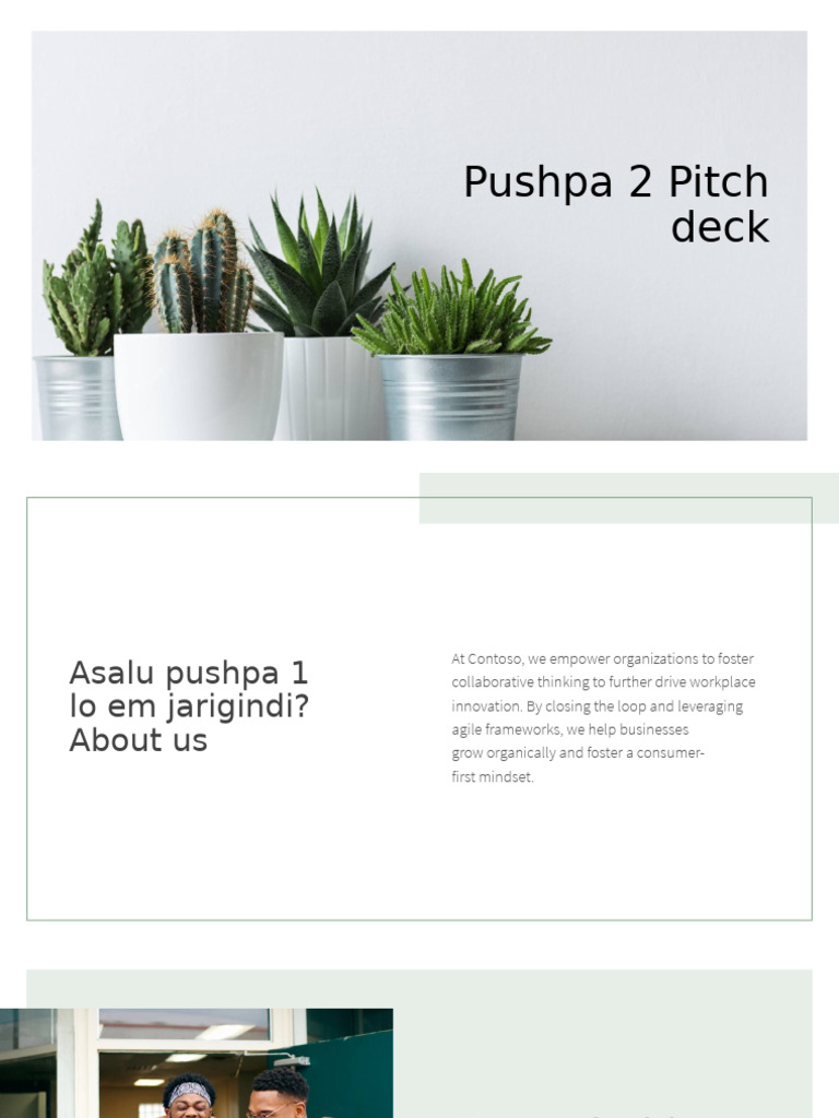 Jamba Lakidi Pamba Light | PDF | Revenue | Private Sector