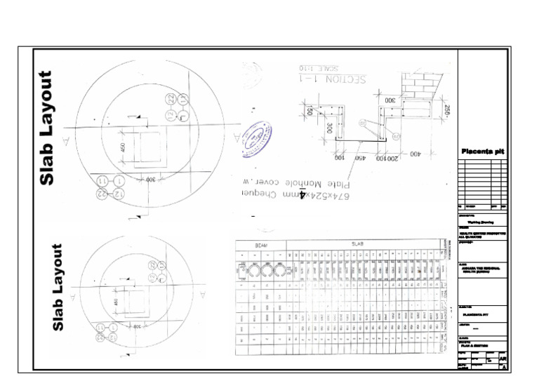 Placenta Pit - 2 | PDF