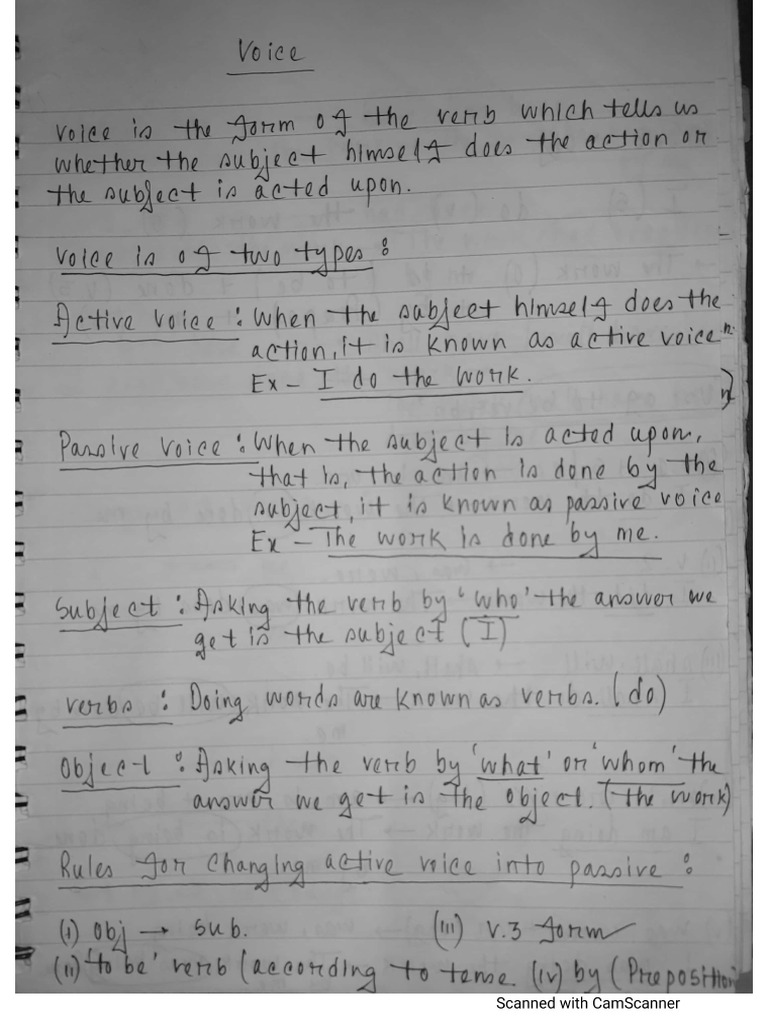 Rules of Voice | PDF