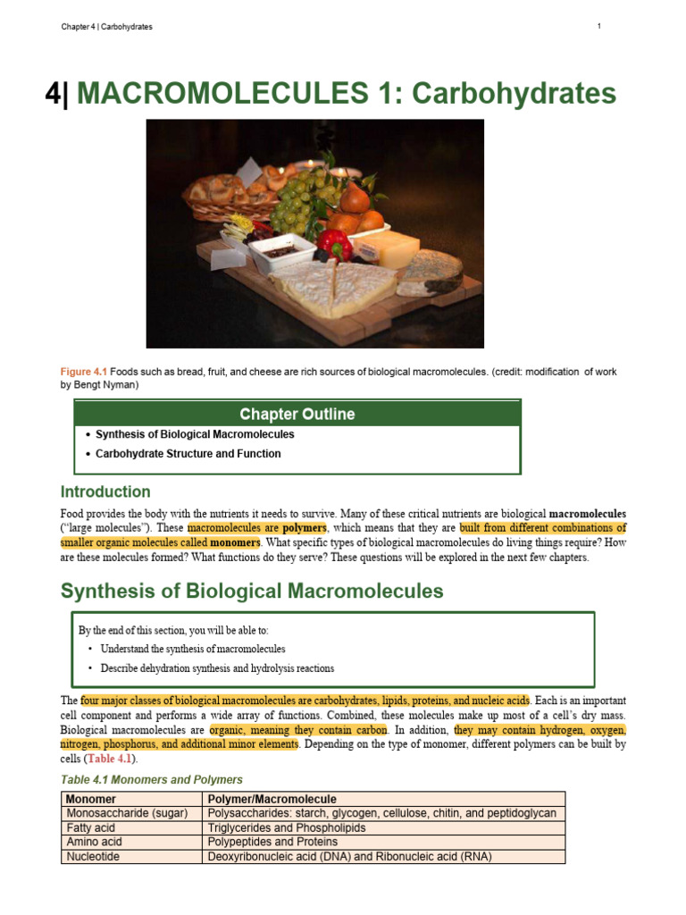College Biology Chapter 4 Macromolecules Carbohydrates Pdf Carbohydrates Macromolecules