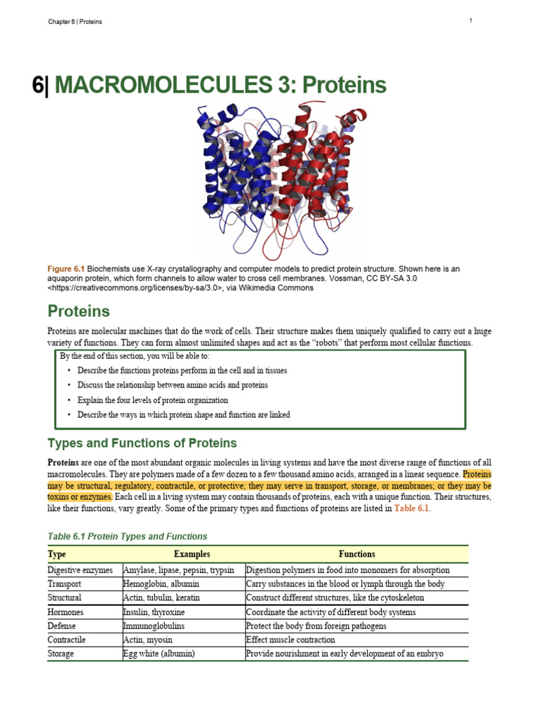 College Biology Chapter 6 Macromolecules - Proteins | PDF | Proteins ...