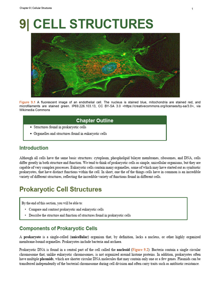 College Biology Chapter 9 Cellullar Structures | PDF | Cell (Biology) | Endoplasmic Reticulum
