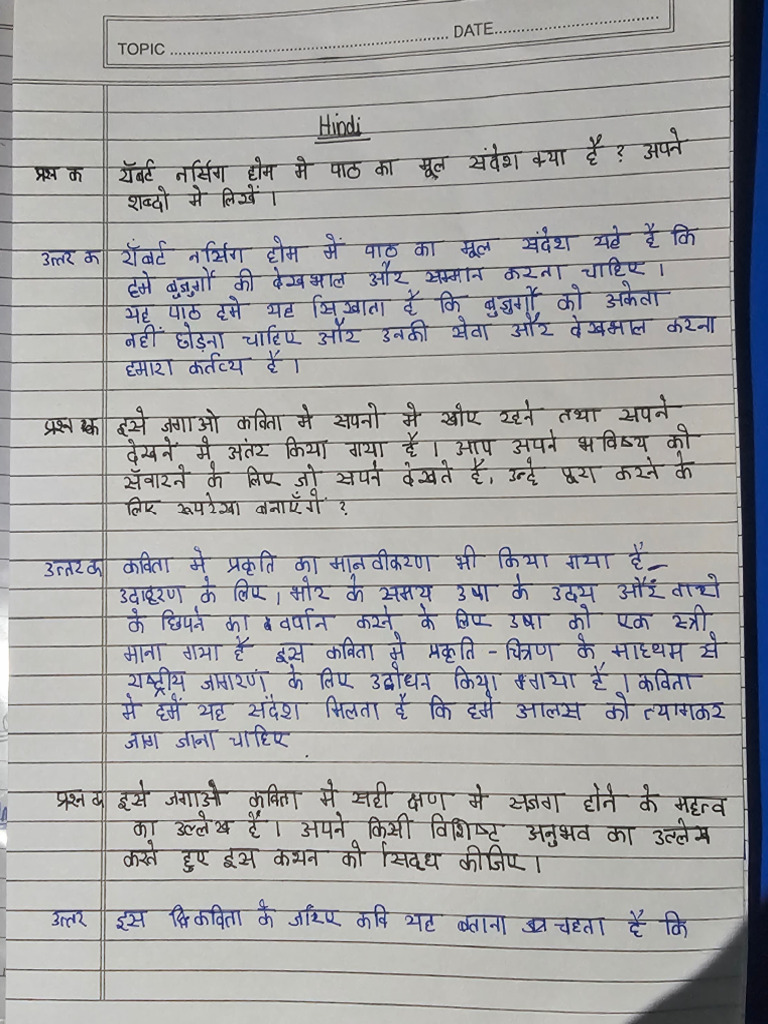 Robert Nursing Home: Hindi Insights | PDF