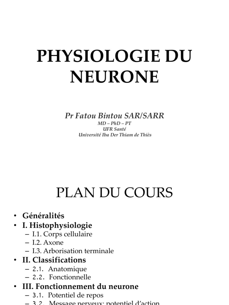 Physiologie du Neurone et Zone Gachette | PDF | Synapse | Neurone