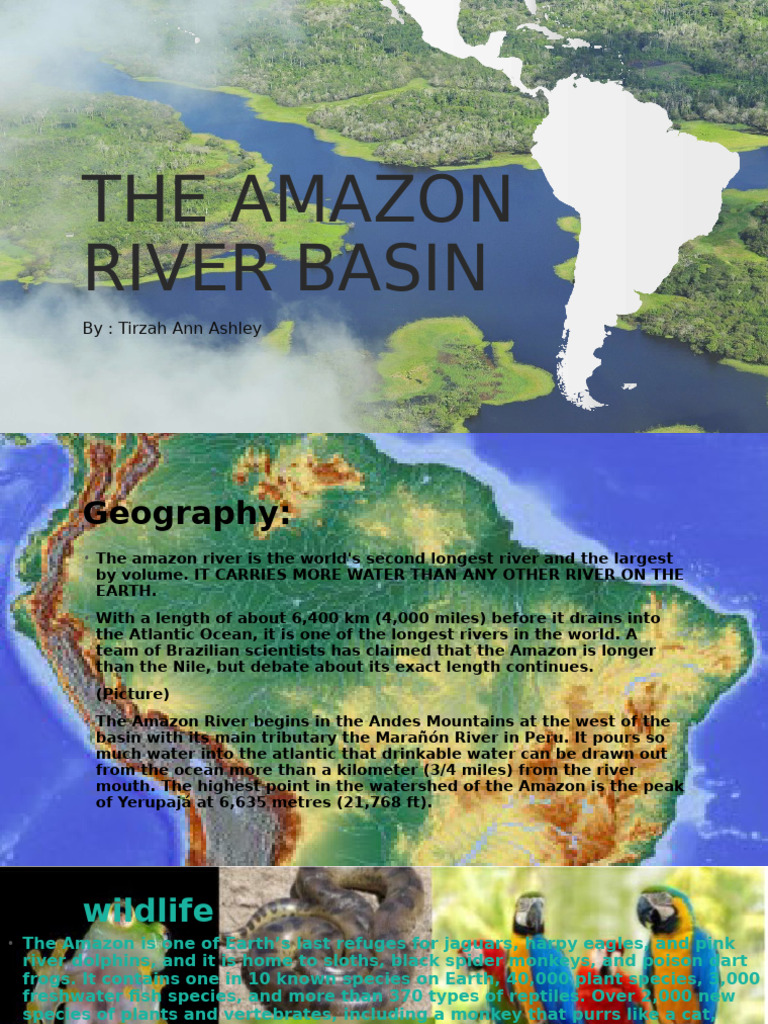 Amazon River Basin: Geography, Wildlife, and Threats | PDF | Amazon ...