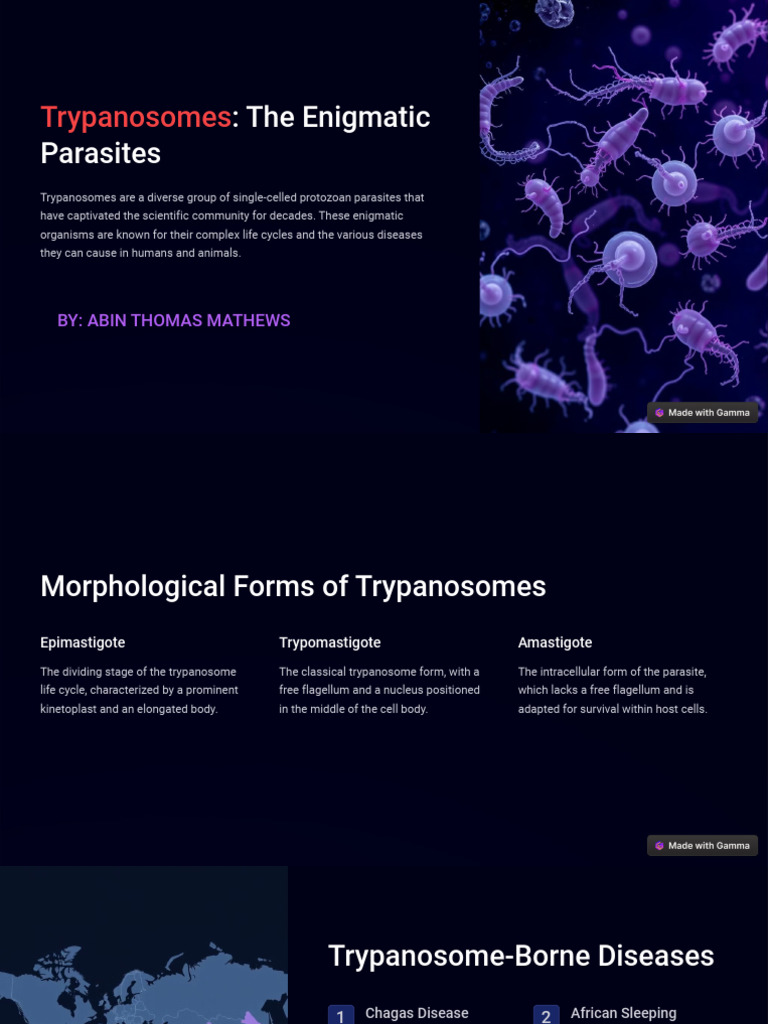 Trypanosomes The Enigmatic Parasites | PDF | Infection | Medicine
