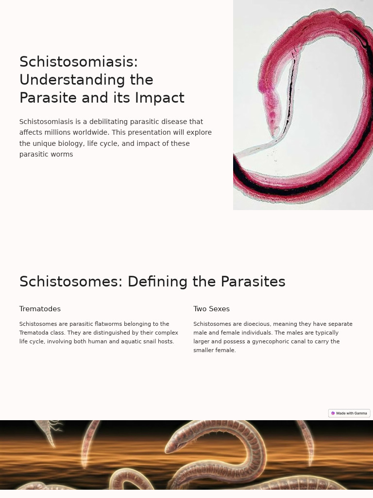 Schistosomiasis Understanding The Parasite and Its Impact | PDF ...