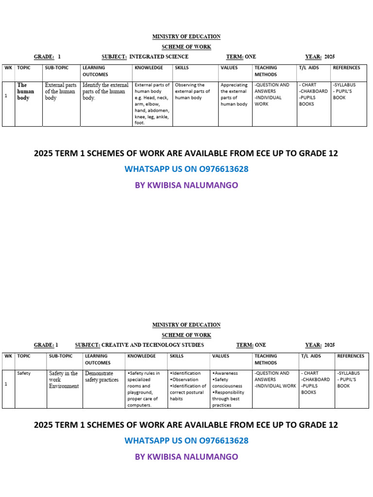 2025 Grade 1 - 4 Schemes of Work | PDF | Learning | Knowledge