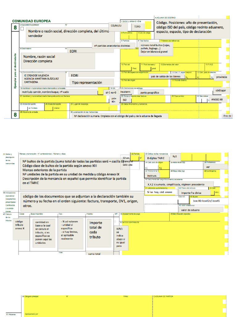 DUA Import Explicado | PDF