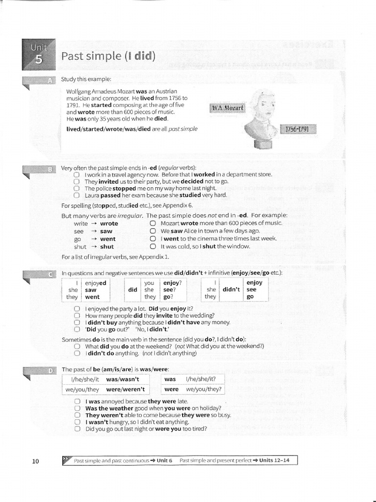 Past simple past cont | PDF