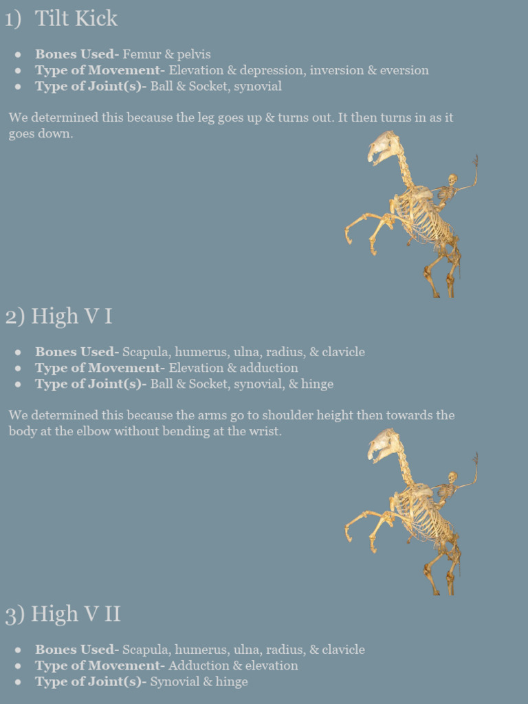 Human Body Movements and Joints Guide | PDF