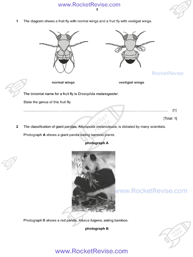 1.1 Classification System QP | PDF