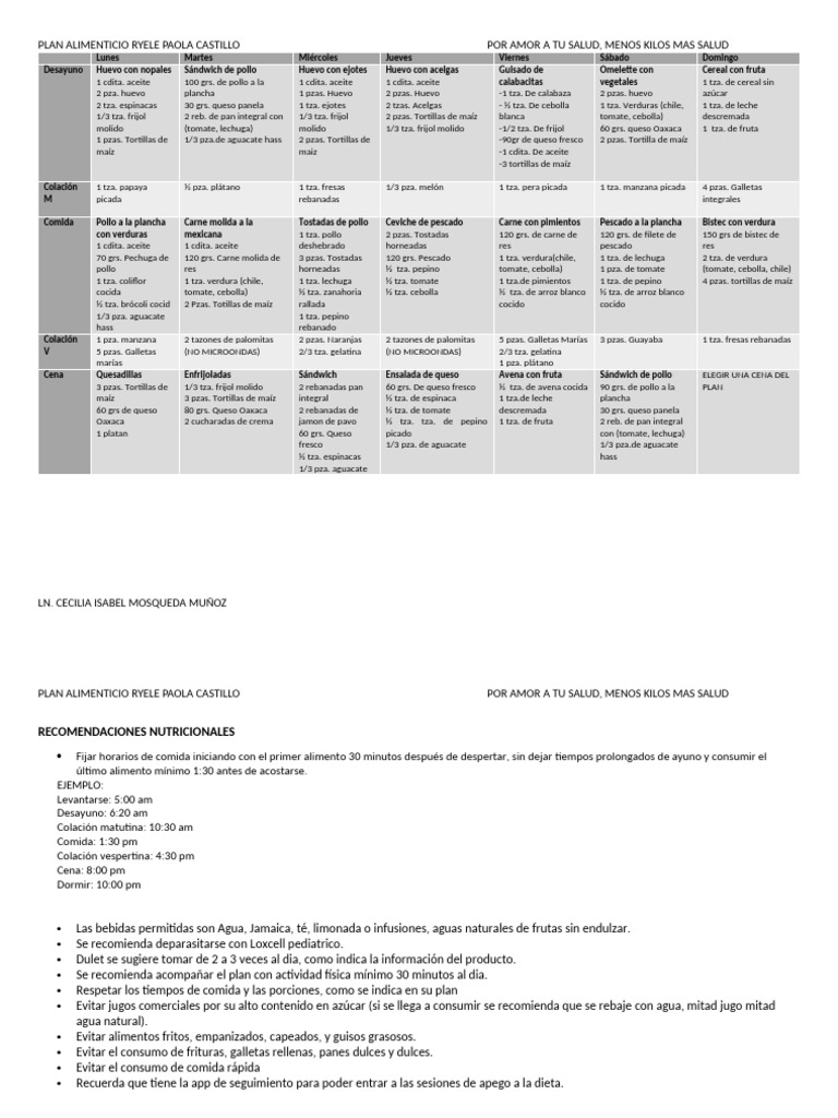 Plan Alimenticio | PDF | Maíz | Alimentos