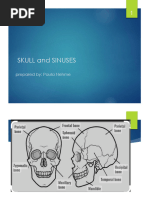Sinuses Positioning Chart | PDF | Skull | Human Nose