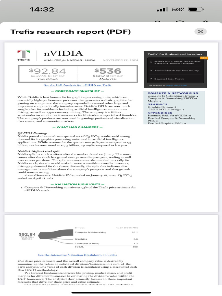 Nvidia Feb 2025 | PDF