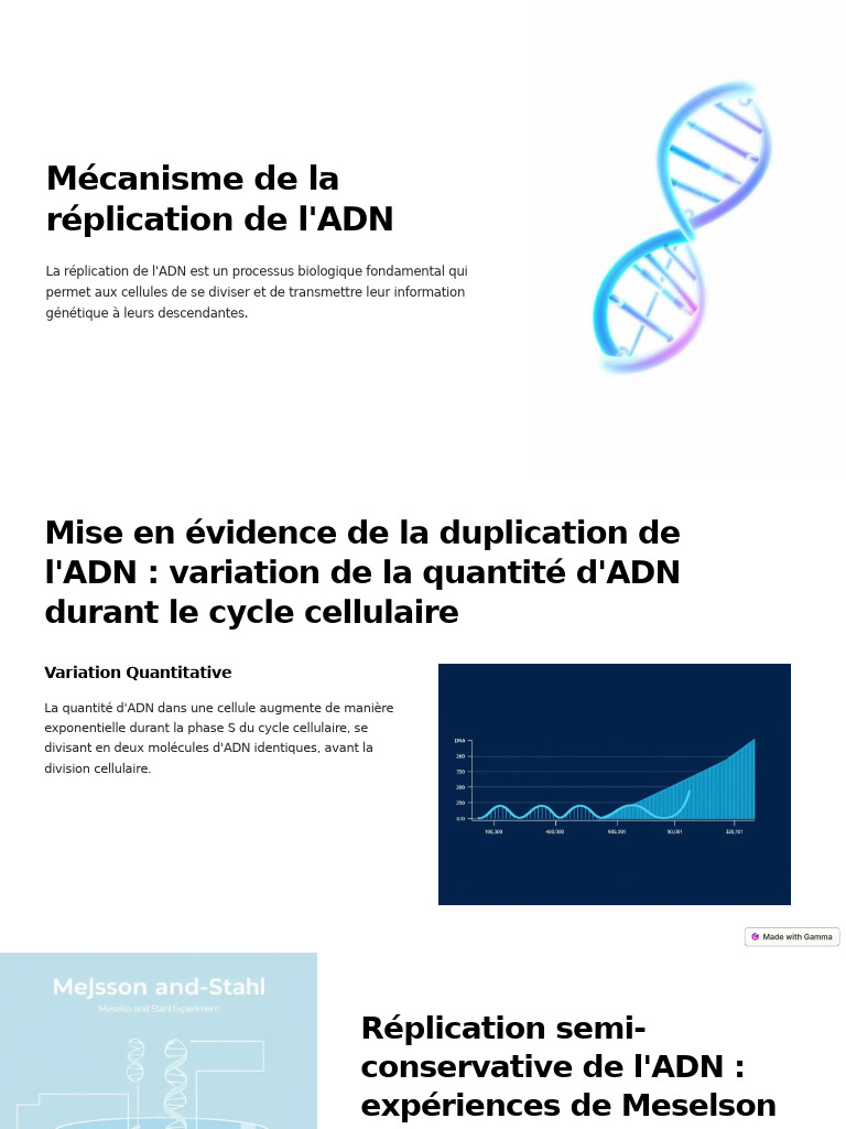Mecanisme de La Replication de LADN | PDF | Réplication de l'ADN | ADN