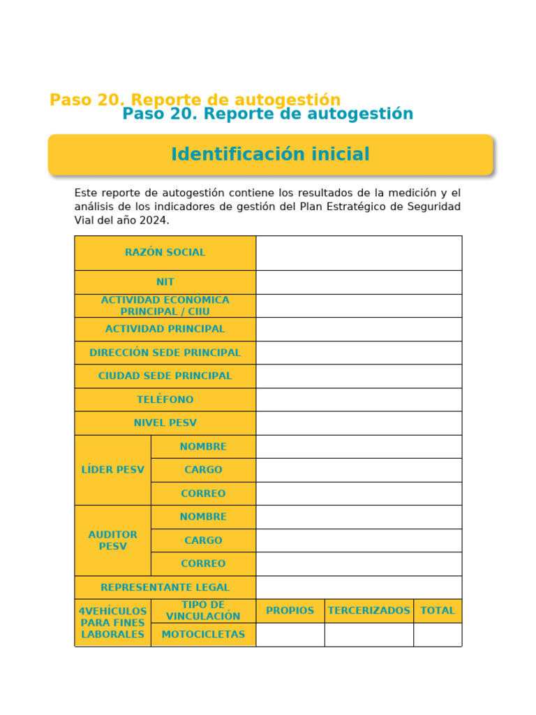 Formato Informe Pesv | PDF | Economias
