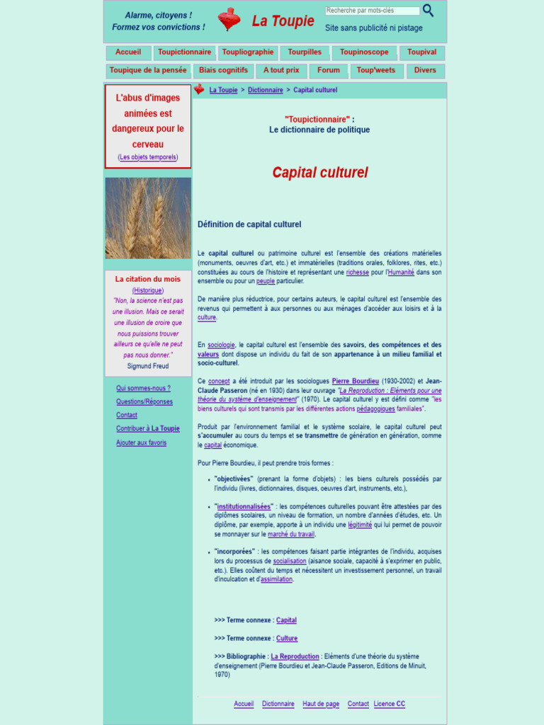 Définition du capital culturel | PDF | Capital (Économie ...