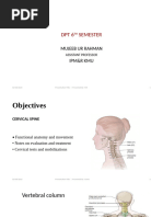 SIJ Stability: Form and Force Closure | PDF | Pelvis | Vertebral Column