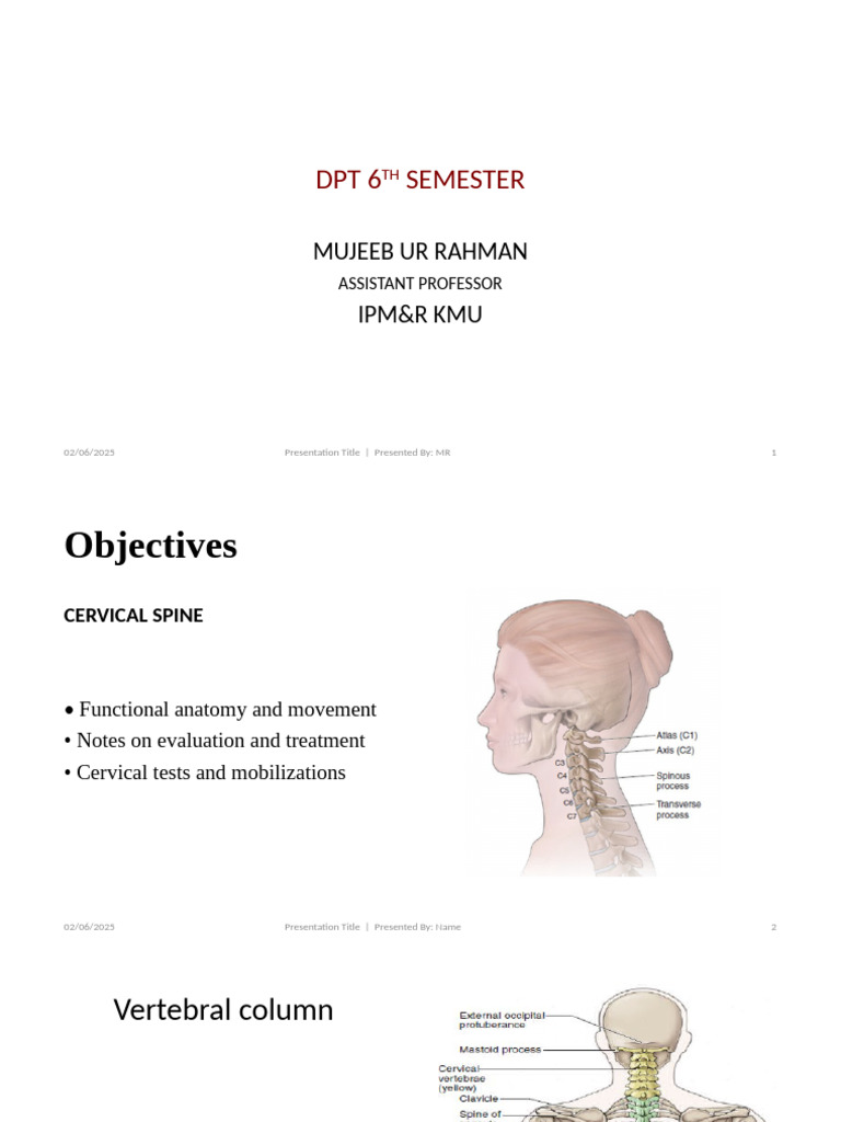 Cervical Spine Anatomy and Movement | PDF | Vertebra | Vertebral Column