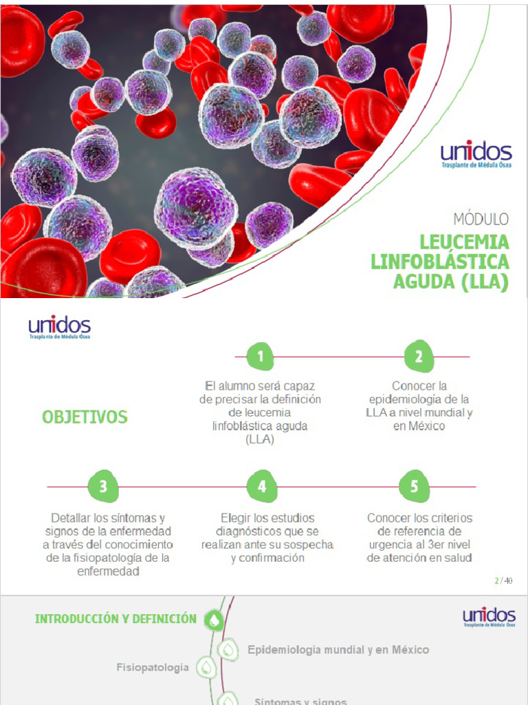 Leucemia Linfoblastica Aguda | PDF