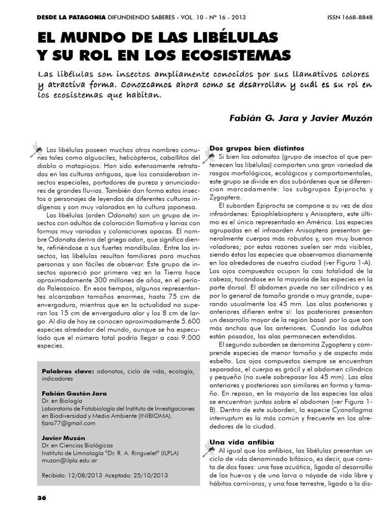 Metamorfosis y vida de libélulas Anisoptera | PDF | Libélula | Larva