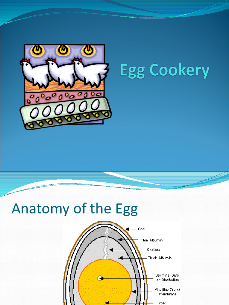 Egg Cookery | PDF | Yolk | Foods