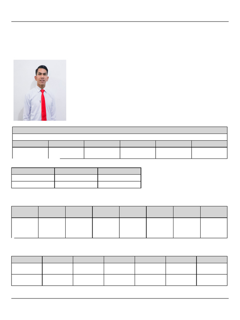 CV Efraim Gultom | PDF