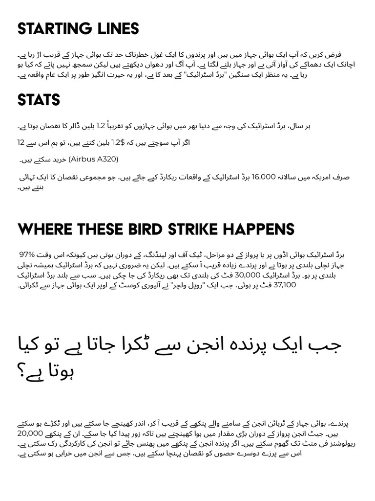 Youtuber First Video Bird Strike | PDF