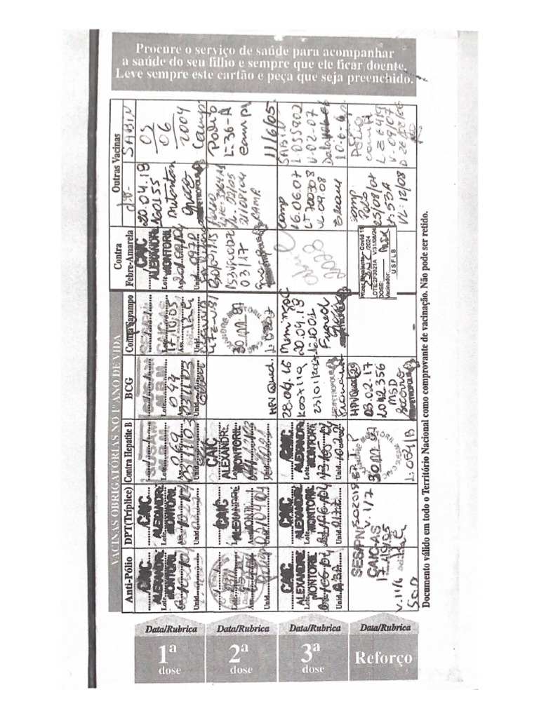 Data Rubric A | PDF