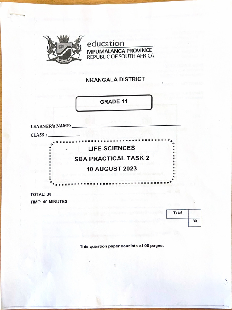 August Practical 2033 Gr11 | PDF