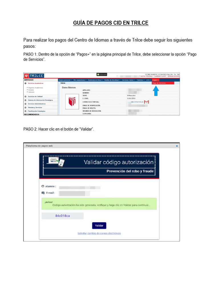 Guía de Pago CID en Trilce | PDF