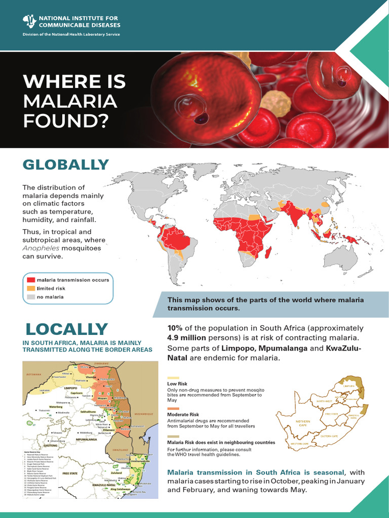 Malaria Posters | PDF | Malaria | Plasmodium